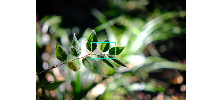 KenkoTokina atx-m 23mm F1.4 フジX 実写レビュー KenkoTokina atx-m 23mm F1.4 フジX 実写レビュー